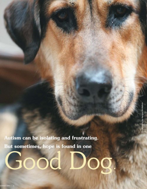 Autism Assistance Dogs - The Ireland Funds