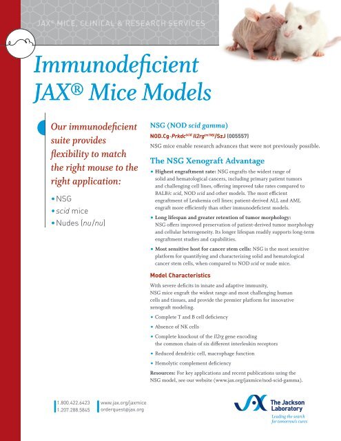Immunodeficient JAXÂ® Mice Models - JAX Mice and Services - The ...