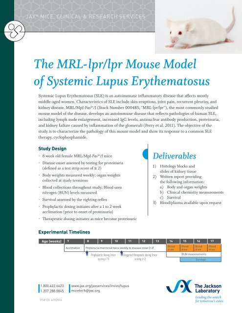 The MRL-lpr/lpr Mouse Model of Systemic Lupus Erythematosus