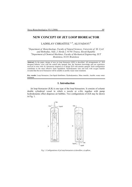 new concept of jet loop bioreactor - Nova Biotechnologica et Chimica