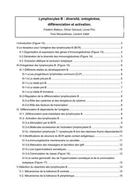Lymphocytes B : diversité, ontogénèse, différenciation et ... - ASSIM