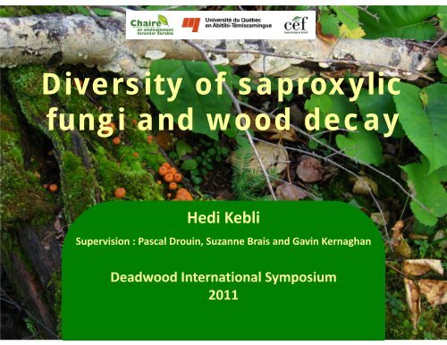 Diversity of saproxylic fungi and wood decay - International ...