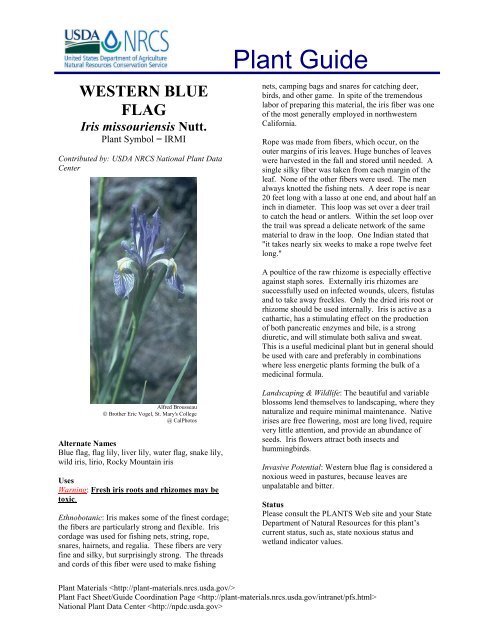 WESTERN BLUE FLAG Iris missouriensis Nutt. - USDA Plants ...