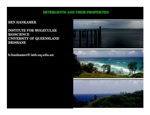 DETERGENTS AND THEIR PROPERTIES BEN HANKAMER ... - 2dx