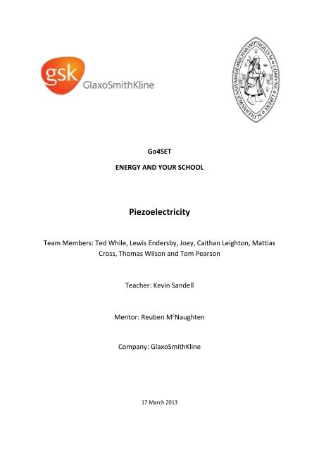 Boys Go4SET Report 2013 - Richmond School