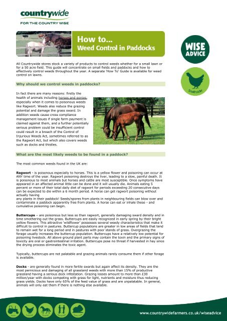 How To Control Weeds in Paddocks - Countrywide Farmers