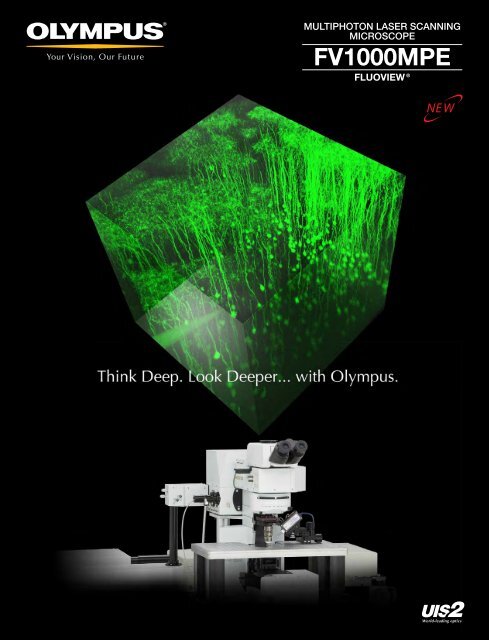 multiphoton exclusive system - Olympus Microscopy Resource Center