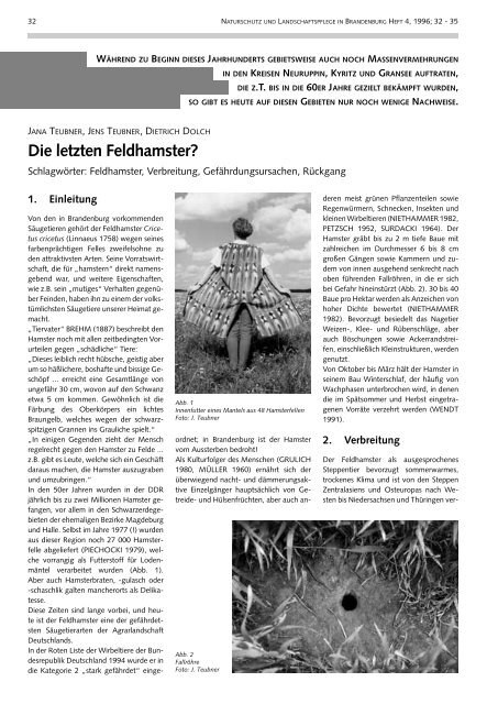 TEUBNER, J., TEUBNER, J. und DOLCH, D. (1996)