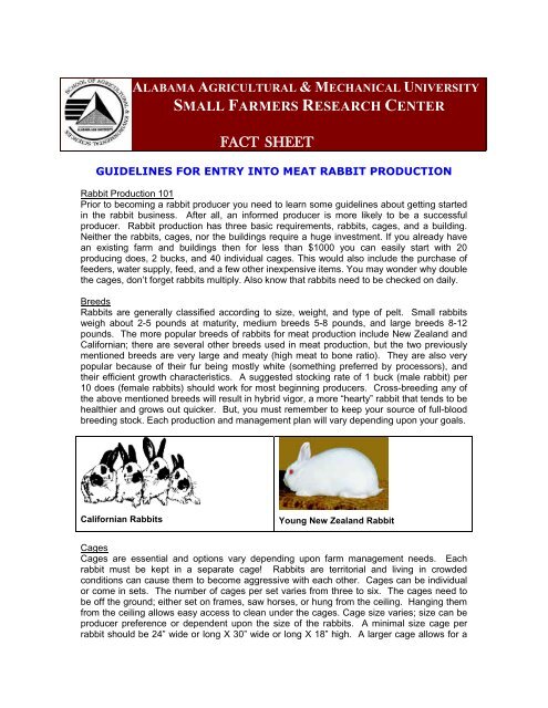 Guidelines For Entry Into Meat Rabbit Production