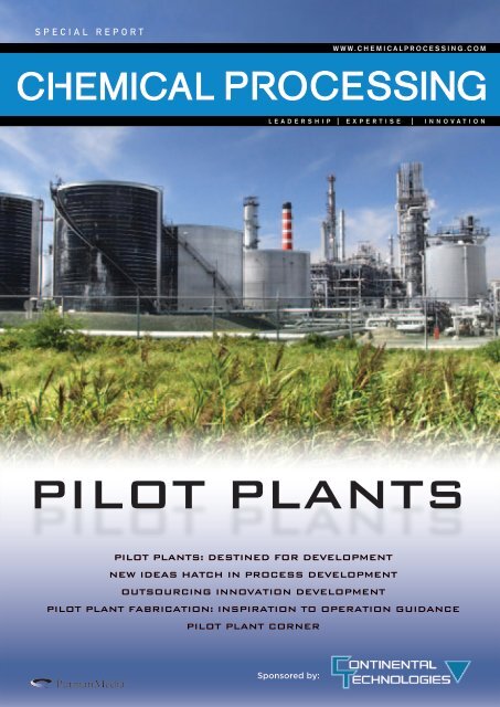 PILOT PLANTS - Continental Technologies Pilot Plant Design ...