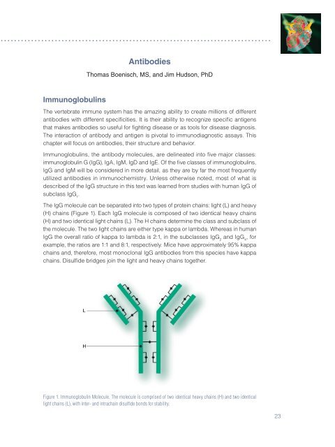 DakoCytomation - Guide to Flow Cytometry - Dako