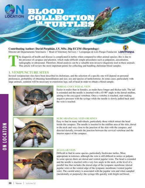 Blood Collection In Turtles, Vetcom Volume 52 2013 - Abaxis