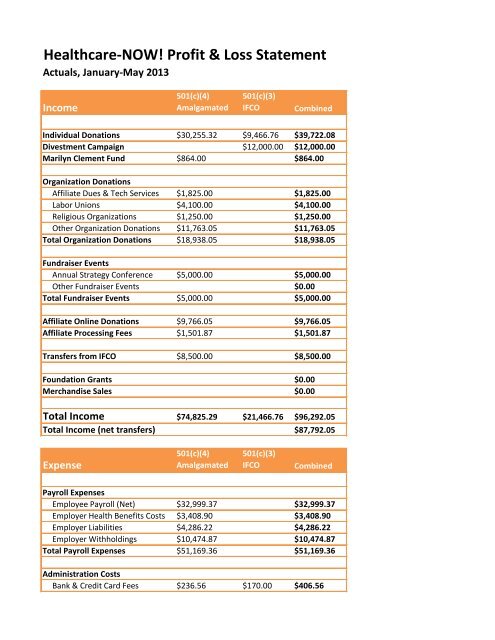 Healthcare-NOW! Profit & Loss Statement