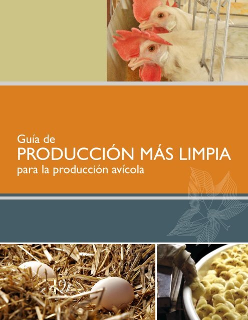 PRODUCCIÓN MÁS LIMPIA