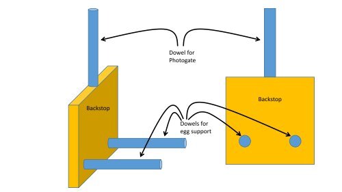 Scrambler Backstop Diagram