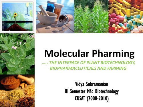 Molecular Pharming - (CUSAT) â Plant Biotechnology laboratory