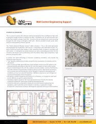 Technical Data Book - Wild Well Control