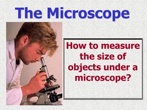 How to measure the size of objects under a microscope?