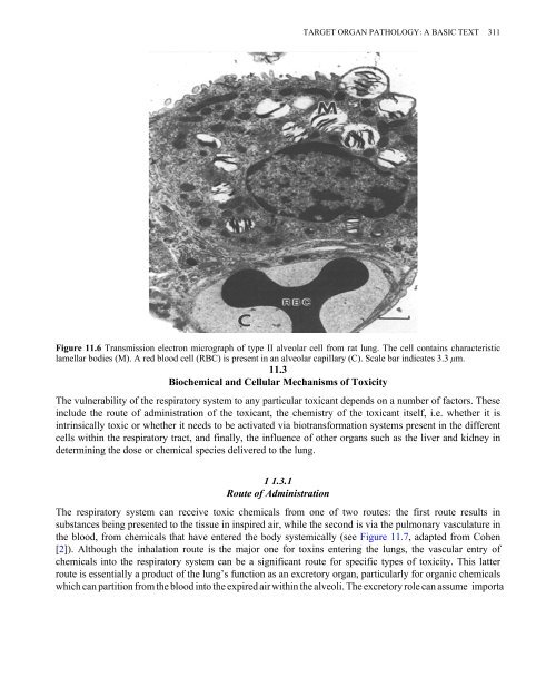 TARGET ORGAN PATHOLOGY: A