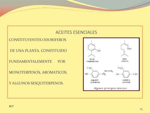 MONOTERPENOS • ACICLICO