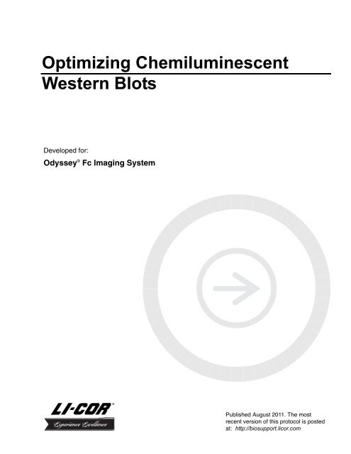 Optimizing Chemiluminescent Western Blots - LI-COR Bio Technical ...