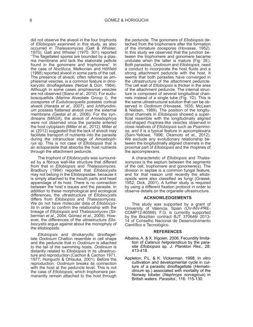 6 GÓMEZ & HORIGUCHI did