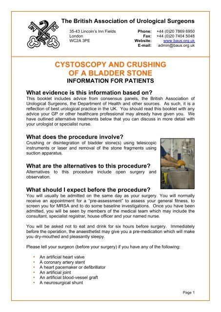 CYSTOSCOPY AND CRUSHING OF A BLADDER STONE - British ...