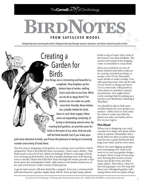 BirdNotes - Cornell Lab of Ornithology