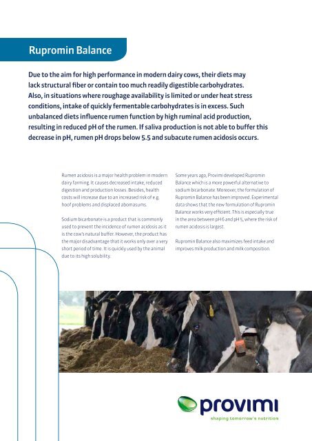 Rupromin Balance - Provimi