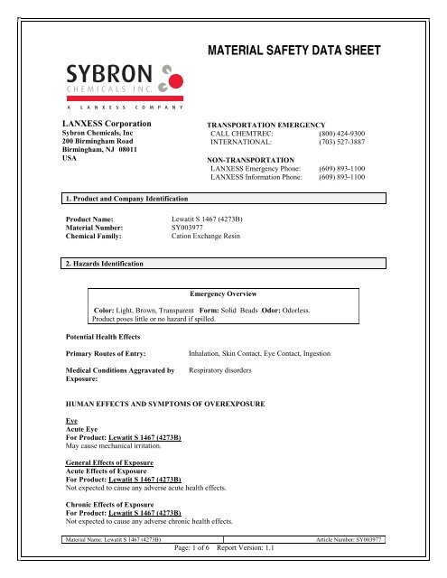 A4065 Resin Ionac S1.. - Clean My Water