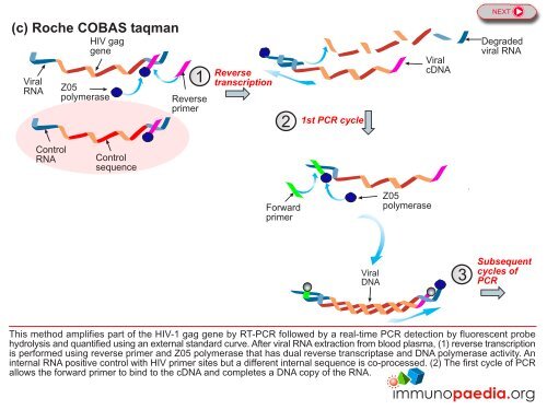 (c) Roche COBAS taqman - Immunopaedia