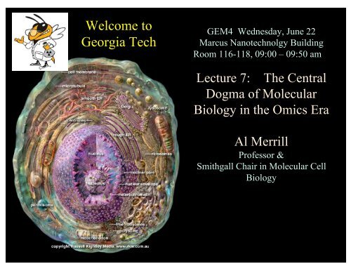 The Central Dogma of Molecular Biology in the Omics Era