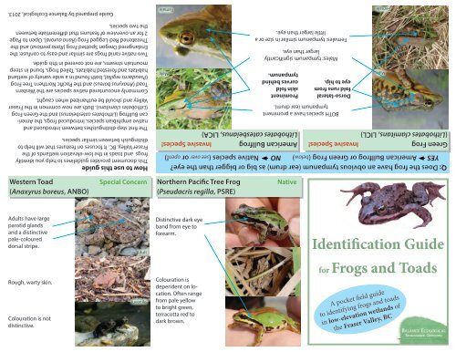 A Pocket Identification Guide for Frogs and Toads