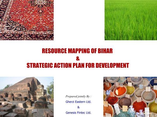 resource mapping of bihar & strategic action plan for development
