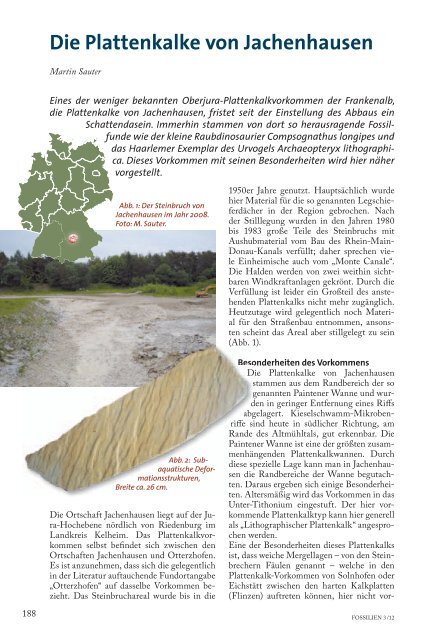 Die Plattenkalke von Jachenhausen - Die Fossilien von Solnhofen