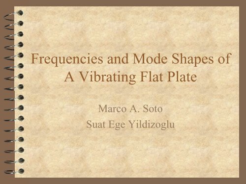 Frequencies and Mode Shapes of A Vibrating Flat Plate