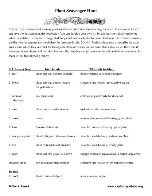 Plant Scavenger Hunt