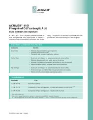 ACUMER 3100 Terpolymer The Anti-Scale Deposition for ...