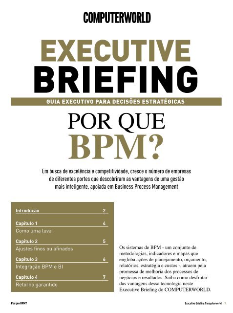 Porque BPM? - Data Warehouse