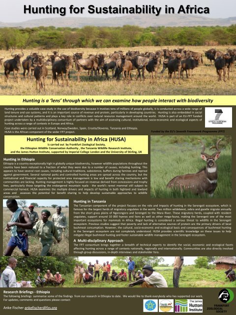 Hunting for Sustainability in Africa