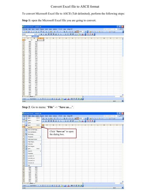 Convert Excel file to ASCII file Convert Excel file to ASCII file