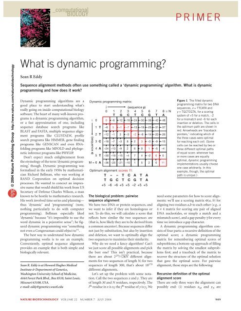 What is dynamic programming? - the Department of Statistics