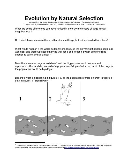 Evolution by Natural Selection