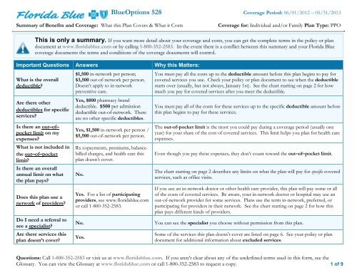BlueOptions 528 - Florida Blue