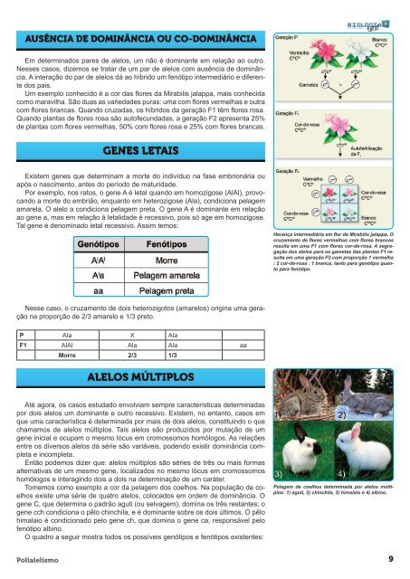Exemplo De Biologia De Alelos Quer Aprender Tudo Isso De Forma