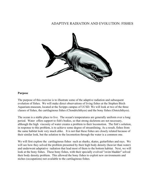 ADAPTIVE RADIATION AND EVOLUTION: FISHES