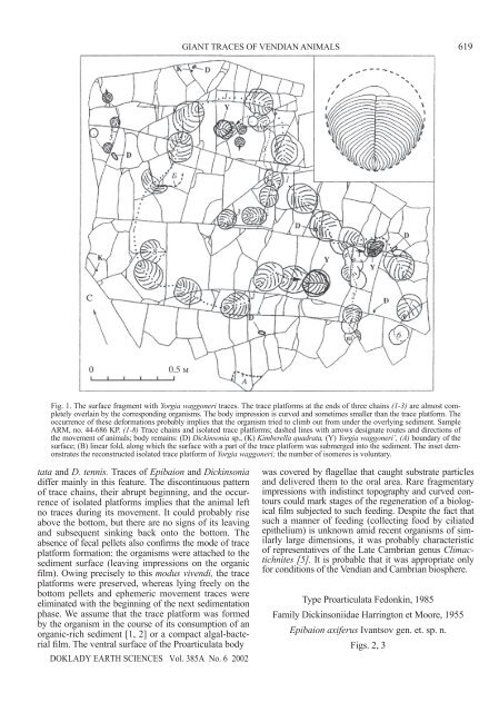 GIANT TRACES OF VENDIAN A
