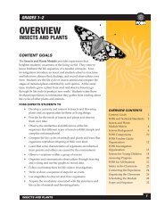 EVALUACIÓN AL FINAL DEL MÓDULO para Palancas y poleas - Foss