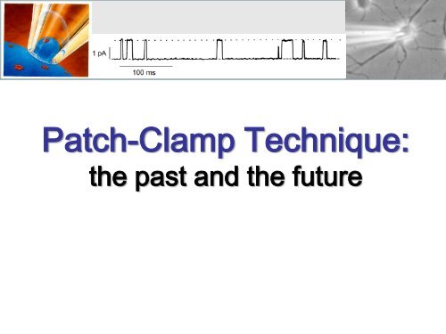 Patch Clamp