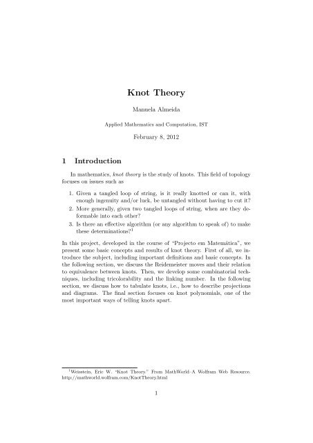 Knot Theory